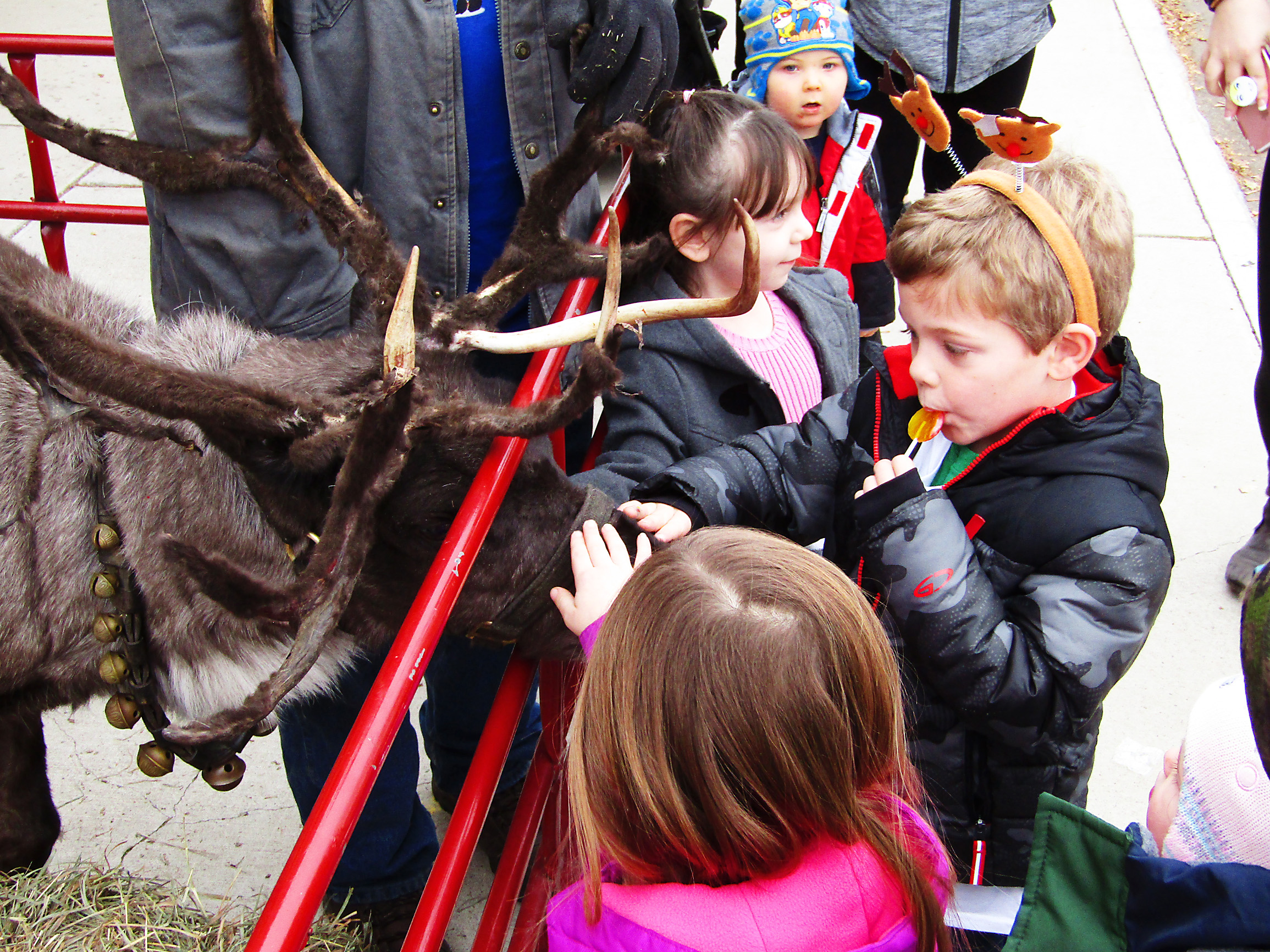 Old St. Nick, reindeer drop by Christmas in the Park | News, Sports ...